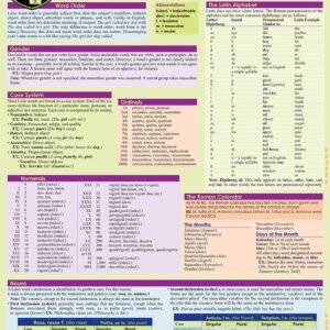 Latin Grammar (English and Latin Edition) QuickStudy Laminated Reference Guide (Quickstudy Language)