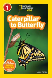 caterpillar to butterfly (national geographic kids explore! readers, level 1) (national geographic kids readers)