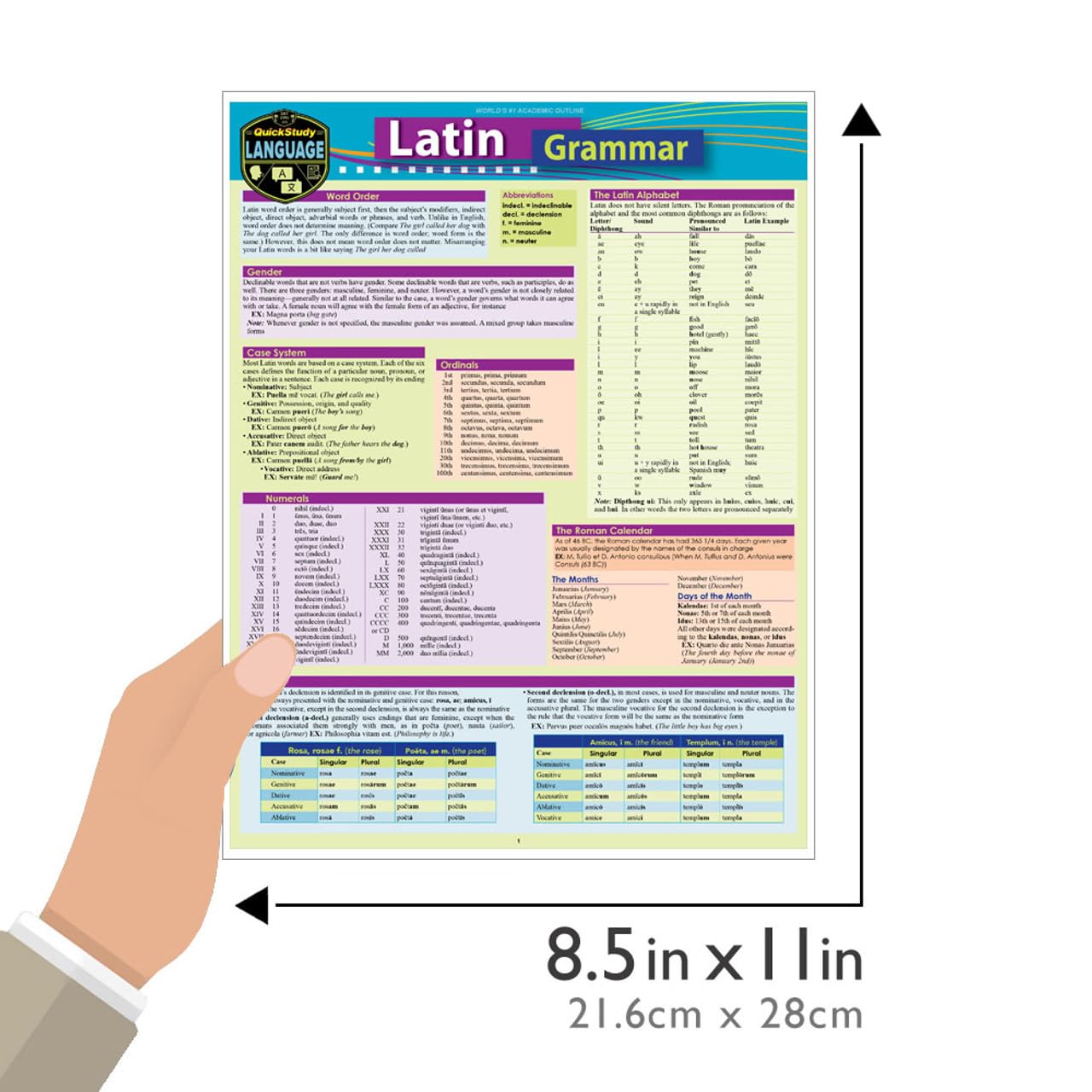 Latin Grammar (English and Latin Edition) QuickStudy Laminated Reference Guide (Quickstudy Language)