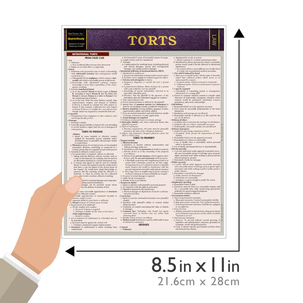 Torts QuickStudy Laminated Reference Guide (QuickStudy Law)