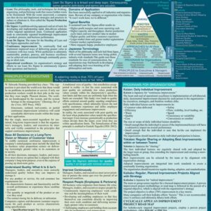 Lean Six Sigma QuickStudy Laminated Reference Guide (QuickStudy Business)