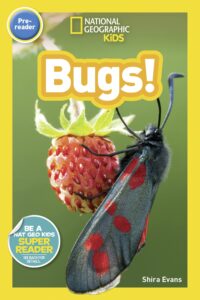 bugs! (national geographic kids readers, pre-reader)