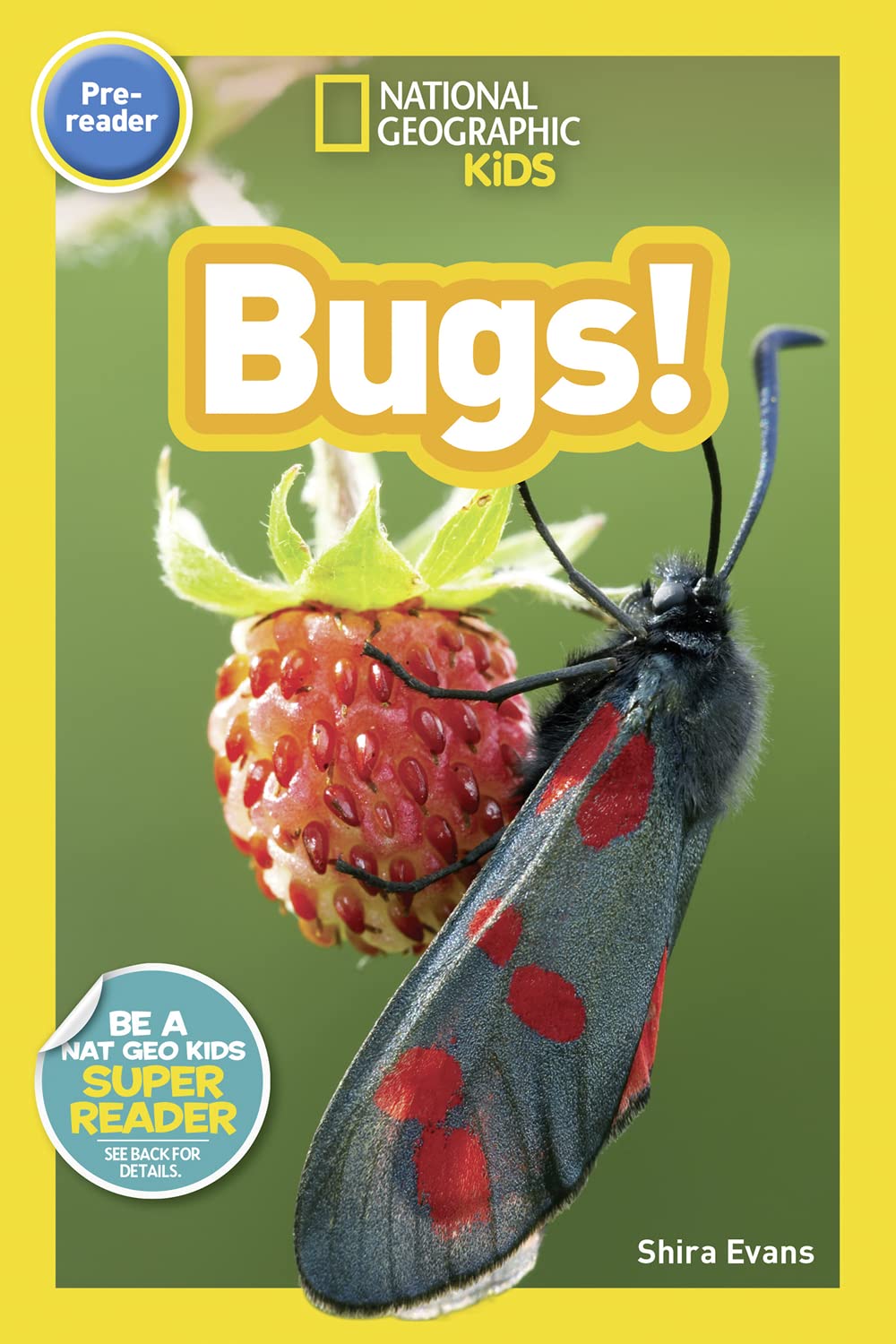 Bugs! (National Geographic Kids Readers, Pre-Reader)