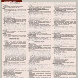 Torts QuickStudy Laminated Reference Guide (QuickStudy Law)