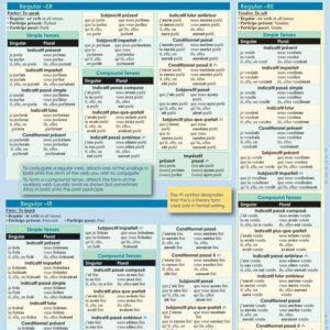 French Verb Conjugations QuickStudy Laminated Reference Guide (QuickStudy Academic) (French Edition)