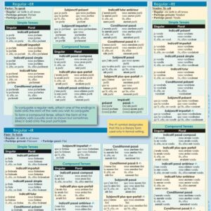 French Verb Conjugations QuickStudy Laminated Reference Guide (QuickStudy Academic) (French Edition)