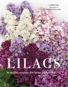 lilacs: beautiful varieties for home and garden