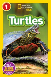 turtles (national geographic kids readers, level 1)