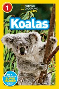 koalas (national geographic kids readers, level 1)