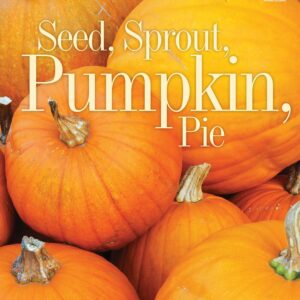 Seed, Sprout, Pumpkin, Pie (Picture the Seasons)