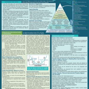 Lean Six Sigma QuickStudy Laminated Reference Guide (QuickStudy Business)