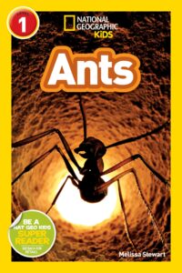 ants (national geographic kids readers, level 1)