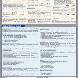 Intermediate Accounting 2: a QuickStudy Laminated Reference Guide (Quickstudy Reference Guide)