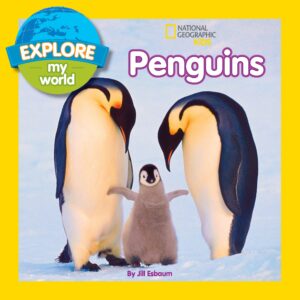 explore my world penguins