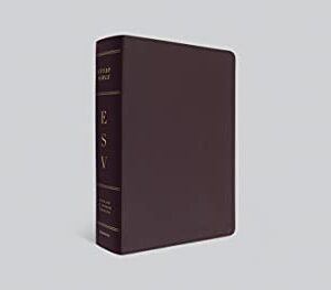 ESV Study Bible, Large Print (Bonded Leather, Burgundy)