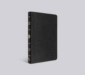 ESV Large Print Thinline Reference Bible (Black)