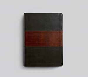 ESV Study Bible, Large Print (TruTone, Forest/Tan, Trail Design)