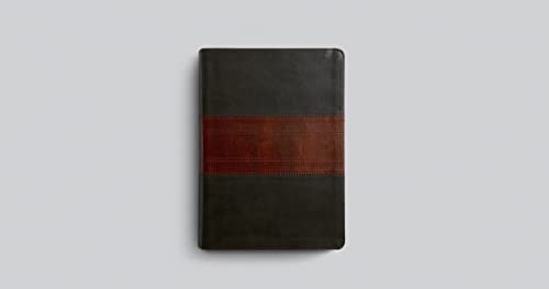 ESV Study Bible, Large Print (TruTone, Forest/Tan, Trail Design)