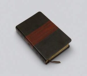 ESV Large Print Personal Size Bible (TruTone, Forest/Tan, Trail Design)