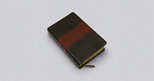 ESV Large Print Personal Size Bible (TruTone, Forest/Tan, Trail Design)