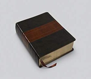 ESV Study Bible, Large Print (TruTone, Forest/Tan, Trail Design)