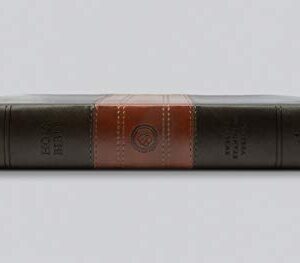 ESV Large Print Personal Size Bible (TruTone, Forest/Tan, Trail Design)