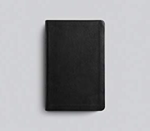 ESV Large Print Value Thinline Bible (TruTone, Black)