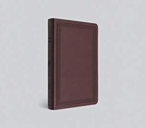 ESV Large Print Value Thinline Bible (TruTone, Mahogany, Border Design)