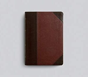 ESV Large Print Wide Margin Bible (TruTone, Brown/Cordovan, Portfolio Design)