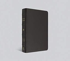 ESV Large Print Personal Size Bible (Buffalo Leather, Deep Brown)