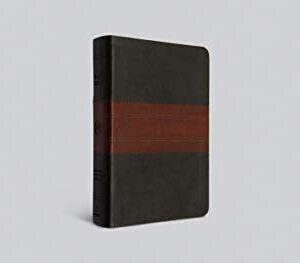 ESV Large Print Personal Size Bible (TruTone, Forest/Tan, Trail Design)