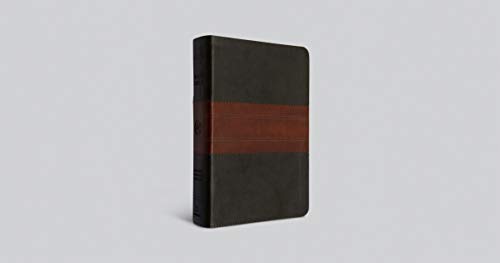 ESV Large Print Personal Size Bible (TruTone, Forest/Tan, Trail Design)