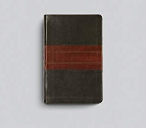 ESV Large Print Personal Size Bible (TruTone, Forest/Tan, Trail Design)