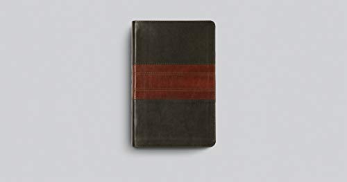 ESV Large Print Personal Size Bible (TruTone, Forest/Tan, Trail Design)