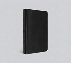 ESV Large Print Value Thinline Bible (TruTone, Black)