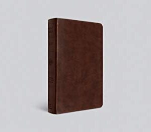 ESV Large Print Personal Size Bible (TruTone, Chestnut)