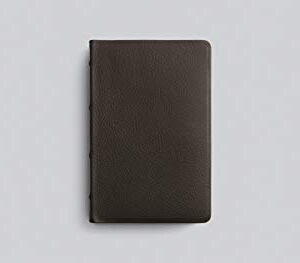 ESV Large Print Thinline Reference Bible (Brown)