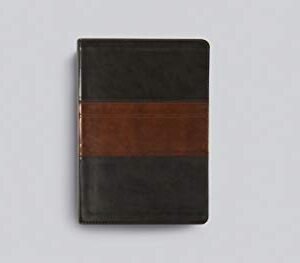 ESV Study Bible, Large Print (TruTone, Forest/Tan, Trail Design)