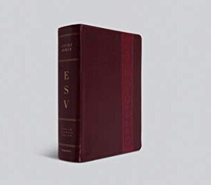 ESV Study Bible, Large Print (TruTone, Mahogany, Trellis Design)