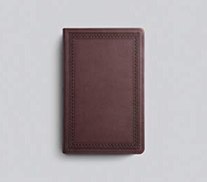 ESV Large Print Value Thinline Bible (TruTone, Mahogany, Border Design)