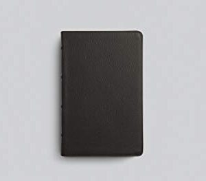 ESV Large Print Personal Size Bible (Buffalo Leather, Deep Brown)