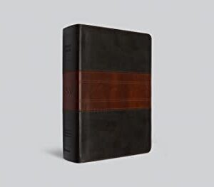 ESV Study Bible, Large Print (TruTone, Forest/Tan, Trail Design)