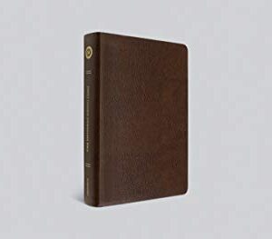 ESV Single Column Journaling Bible, Large Print (Bonded Leather, Mocha)