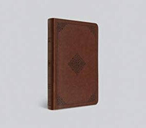 ESV Large Print Value Thinline Bible (TruTone, Tan, Ornament Design)