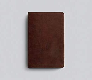 ESV Large Print Personal Size Bible (TruTone, Chestnut)