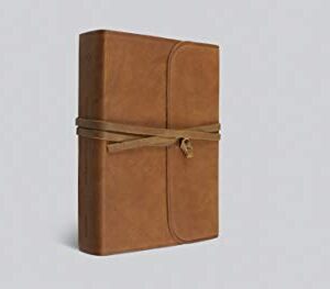 ESV Single Column Journaling Bible, Large Print (Brown, Flap with Strap)