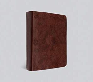 ESV Single Column Journaling Bible (TruTone, Chestnut, Leaves Design)