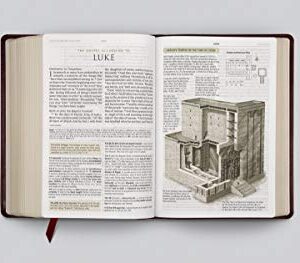 ESV Study Bible, Large Print (TruTone, Mahogany, Trellis Design)