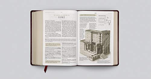 ESV Study Bible, Large Print (TruTone, Mahogany, Trellis Design)