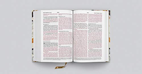 ESV Large Print Compact Bible (Spring Bloom)